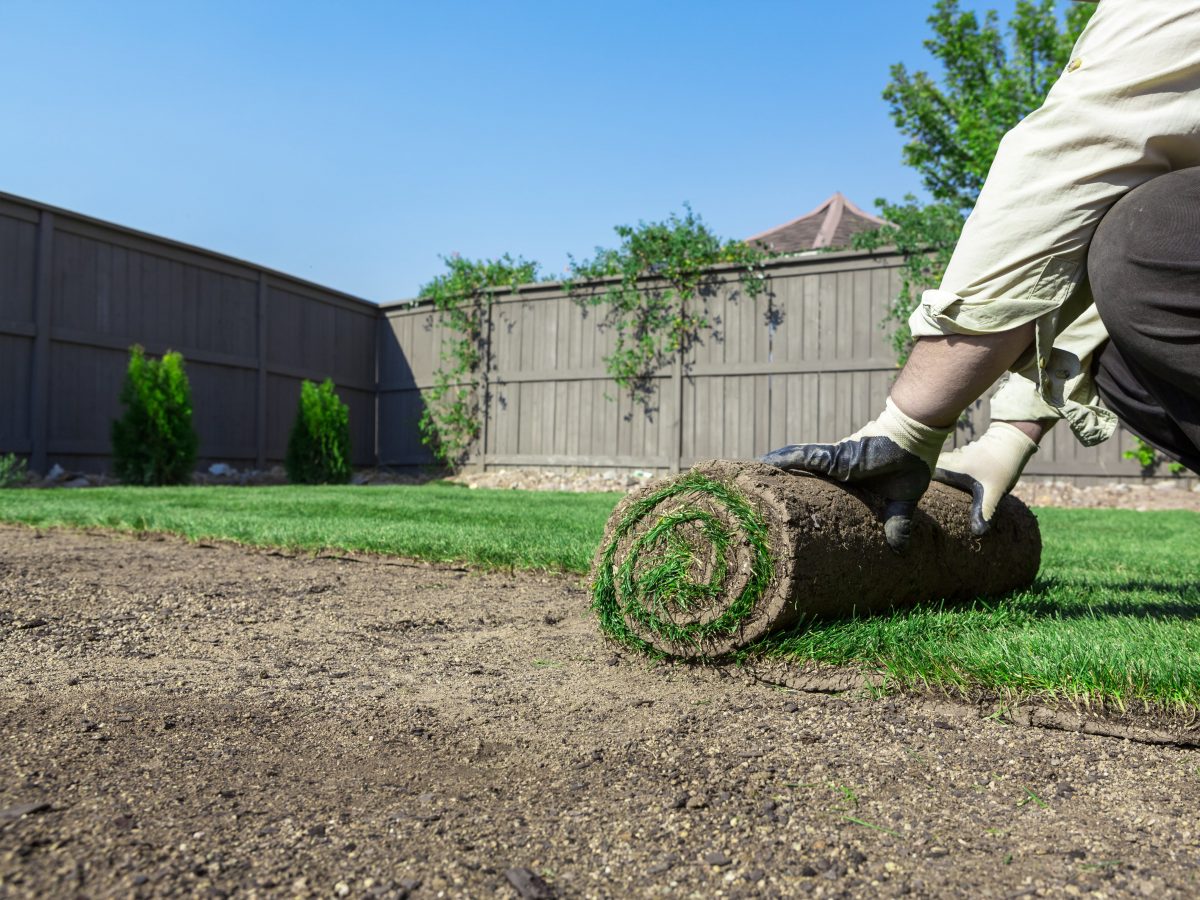 Landscaping - Morton’s Landscape Development Company